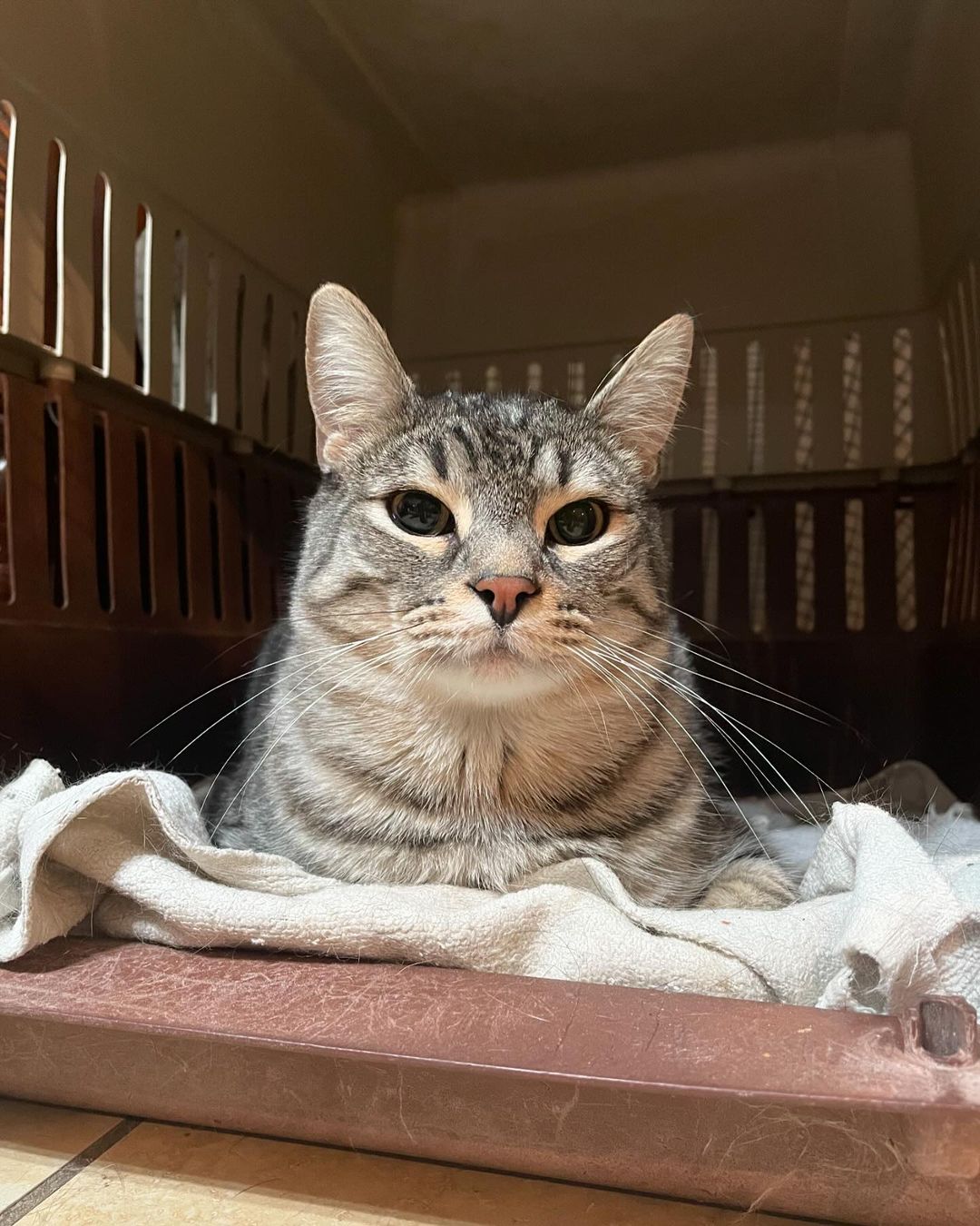 [MOVED] RusCentryMap - Kirov Map - SibirMap RC for Euro Truck Simulator ...